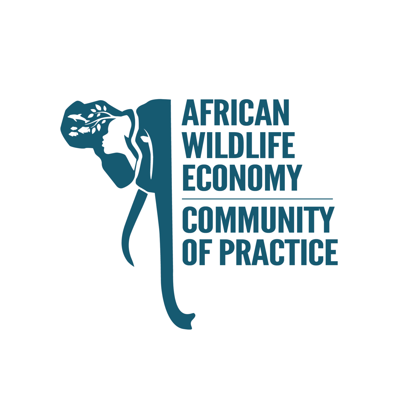 African Wildlife Economy Community of Practice - ALU School of Wildlife ...